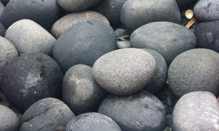 25 Amazing Indoor Rock Garden Ideas To Try Today